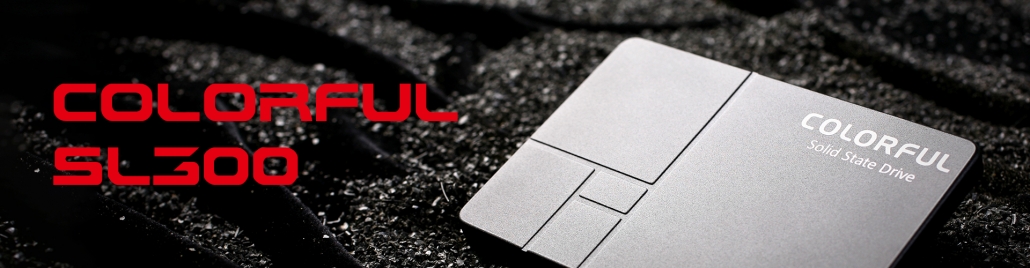 SSD/DRAM | Colorful Europe